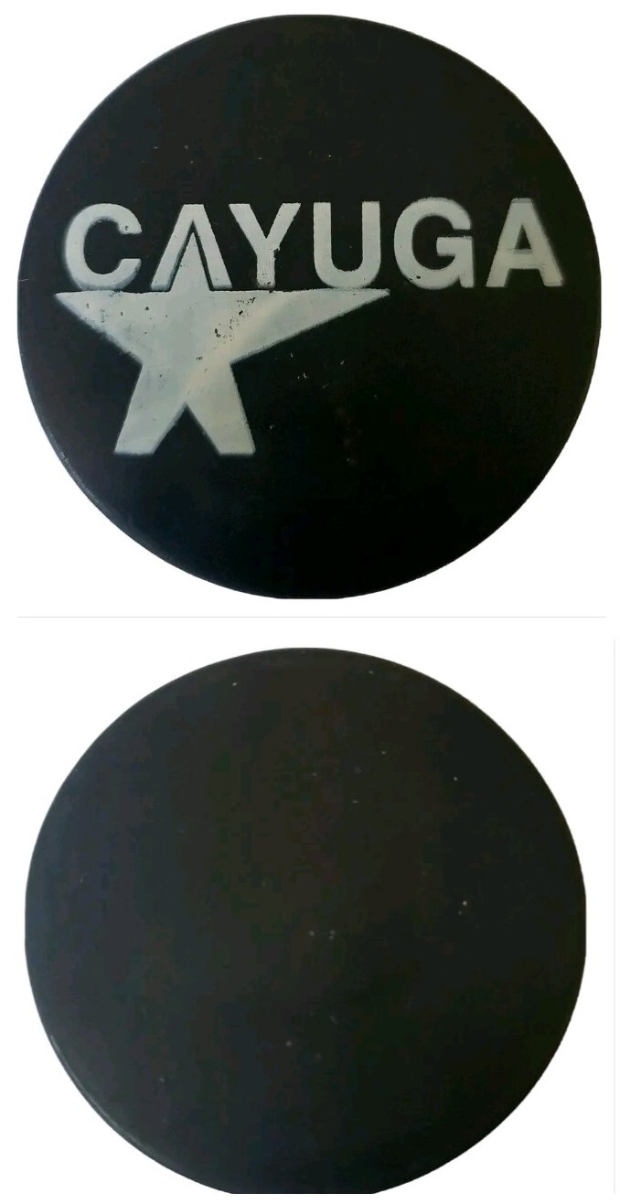 CAYUGA STARS OFFICIAL HOCKEY PUCK RARE VINTAGE VICEROY MFG. Made In ...