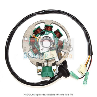 STATOR COMPLETE E-TON TXL Impuls 50 2T 163085 | eBay