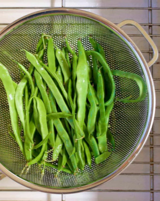 Beans - Italian Romana "Italian Pole" Seeds x 8 AVAILABLE to WA NOT TAS ...