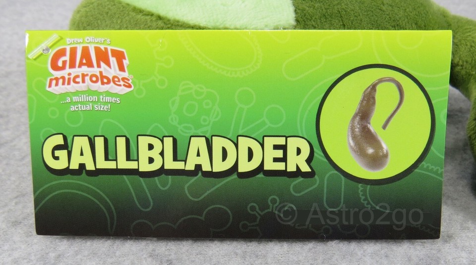 GIANT MICROBES-GALLBLADDER-Stuffed Plush Stone Bile Organ Humor Anatomy ...