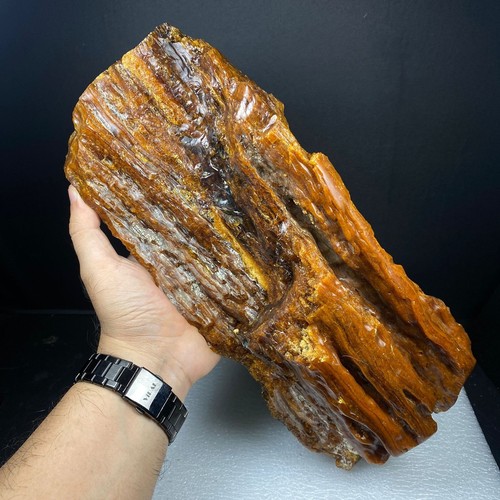 2KG Amazing Rare Natural Log Amber Rough Indonesia - Melted Amber | eBay