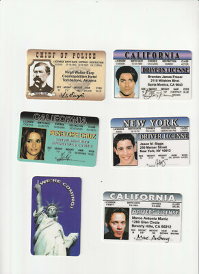 set of 6 Celebrity fun fake ID Cards Drivers Licenses | eBay