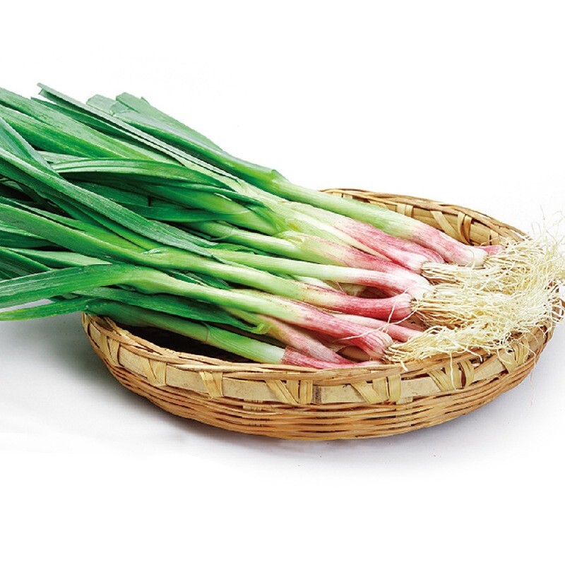 500pcs Garlic Sprouts Seeds, Red Scallion Seeds, Sprouted Garlic SEEDS ...