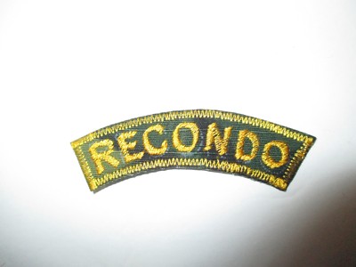 b7448 US Army Vietnam tab Recondo Reconnaissance Commando Recon RVN ...