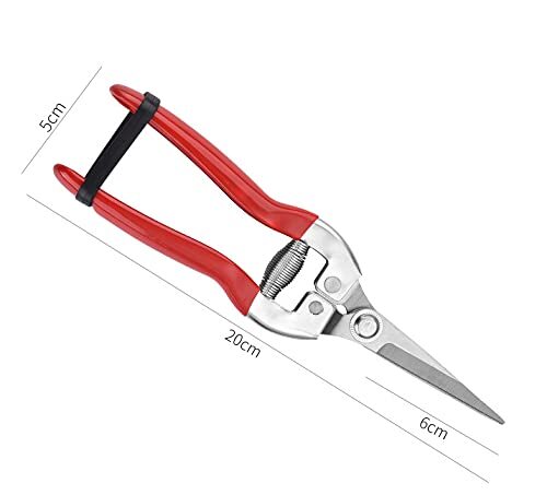 Garden Shears Pruning Shears For Gardening Pruner Pruning Shear For Plants Grape | eBay