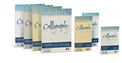 Carta Calligraphy 190gr A4 50fg 06 Naturale | Favini | eBay