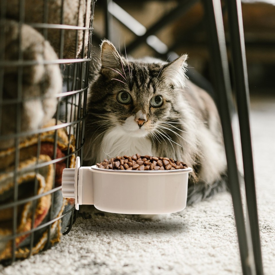 Pet Bowl Hanging Design Stainless Steel Dog Feeder Grey Color | eBay ...