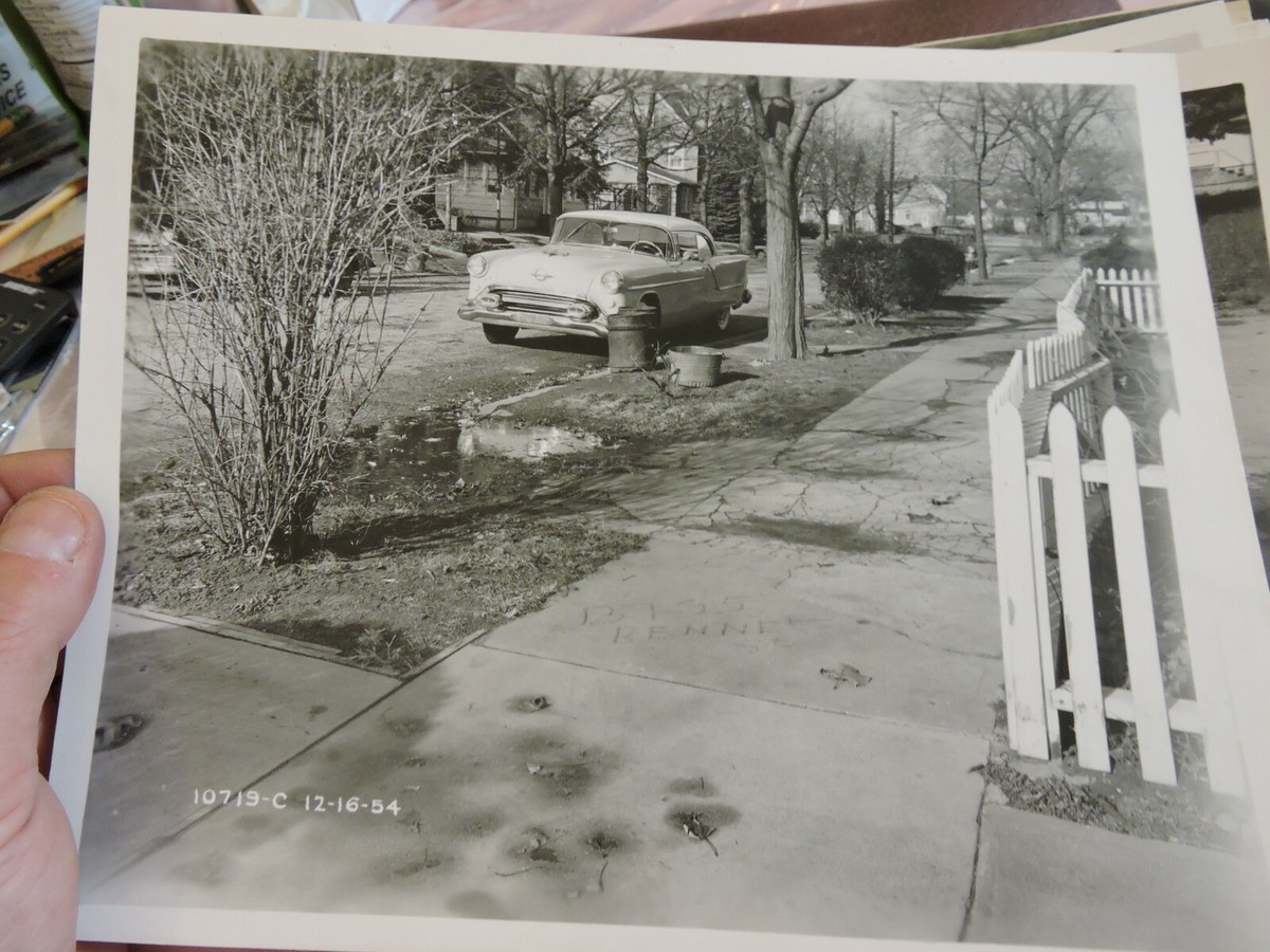 Springfield Gardens New York