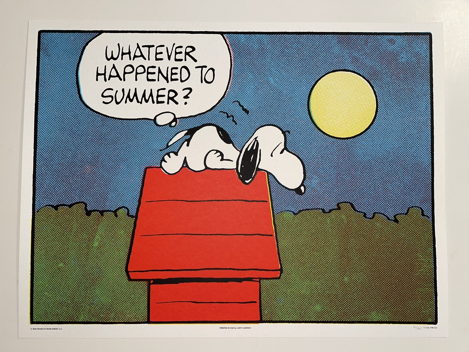 Mondo Charles Schulz' Peanuts "Summer" Poster Silkscreen Print 24x18 ...