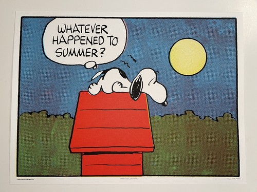 Mondo Charles Schulz' Peanuts "Summer" Poster Silkscreen Print 24x18 ...