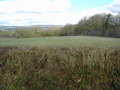 Photo 6x4 Field near Ty-rhos, Eglwysnewydd Newchurch/SN3824 c2009 | eBay UK