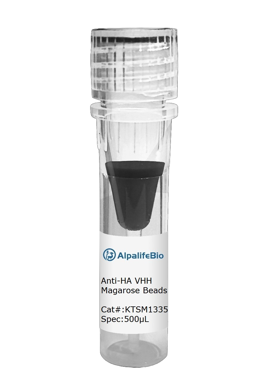 Anti-HA VHH Magarose Beads | eBay