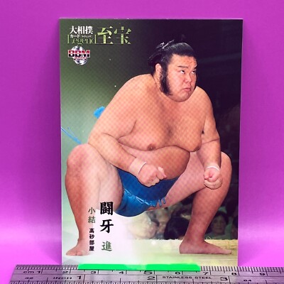 TOKI Susumu Sumo Wrestler Trading Card BBM 2015 Rikishi TCG Japanese ...