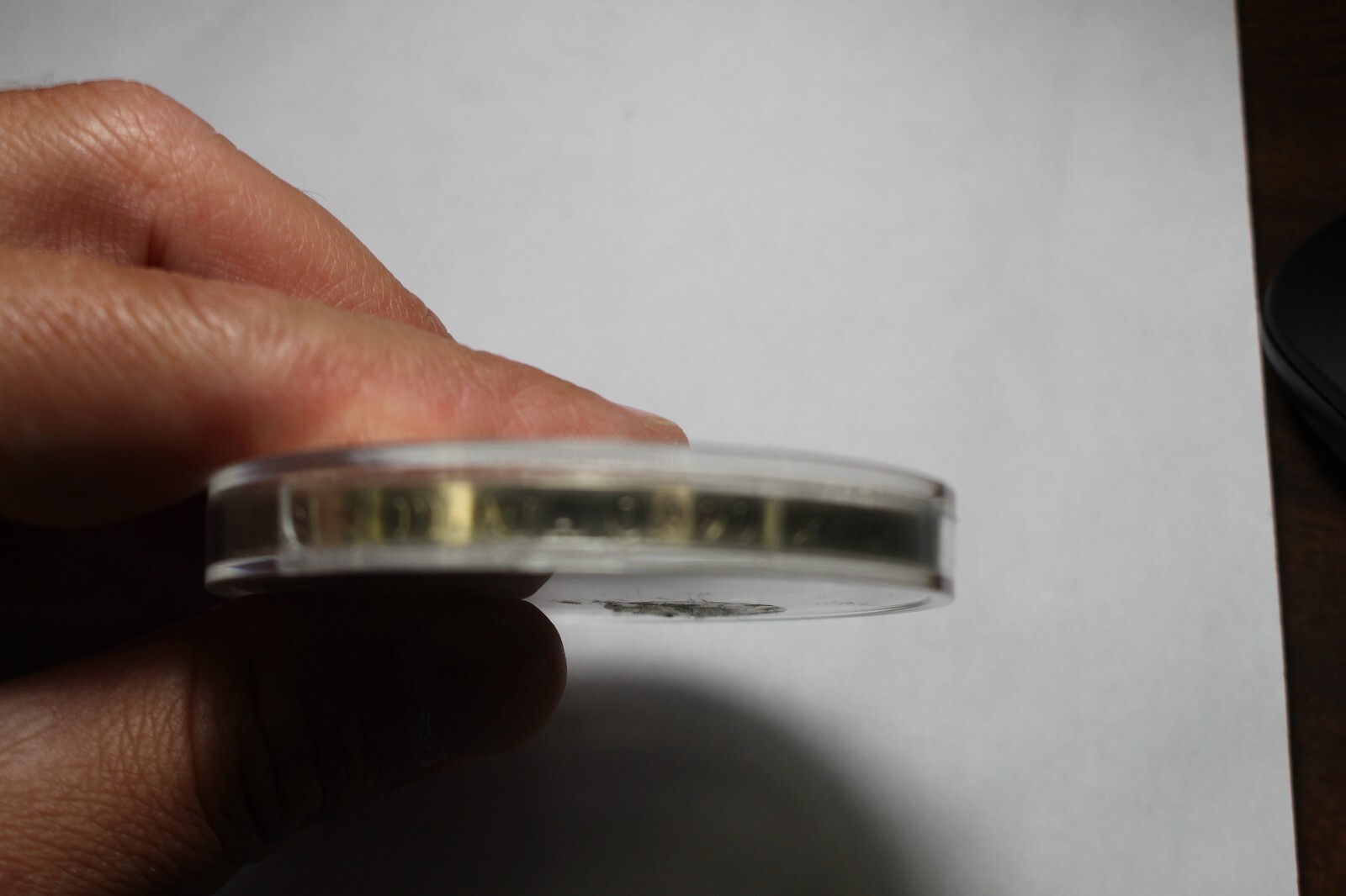 1743 Vtraque Vnum Rex Philip Hispan 5 OZ .999 Silver | eBay