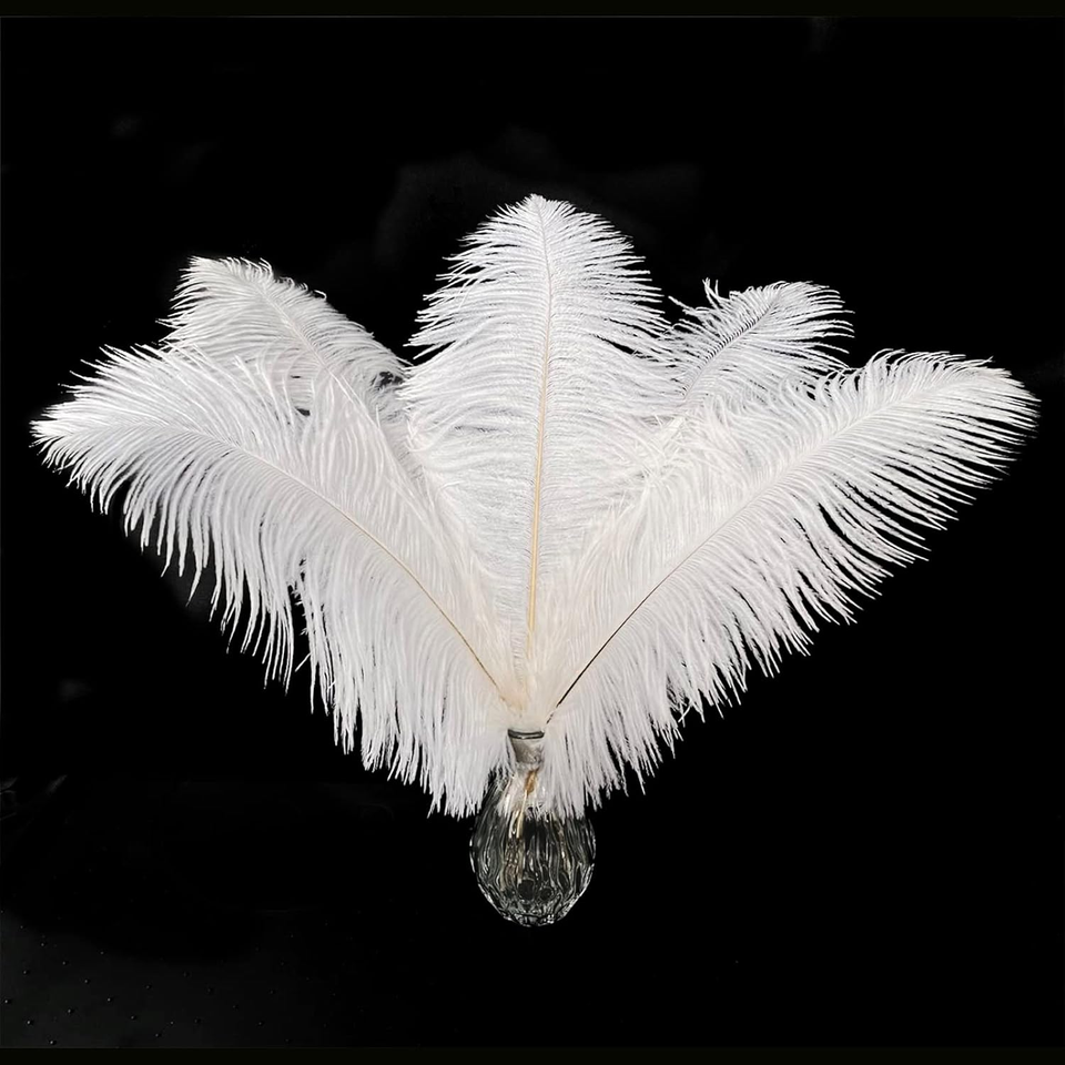 Natural Black Ostrich Feathers Bulk Multiple Sizes & Qty Options for ...