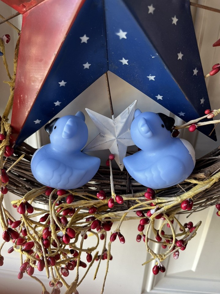 Outback Steakhouse Koala Duck Bundle (2) | eBay