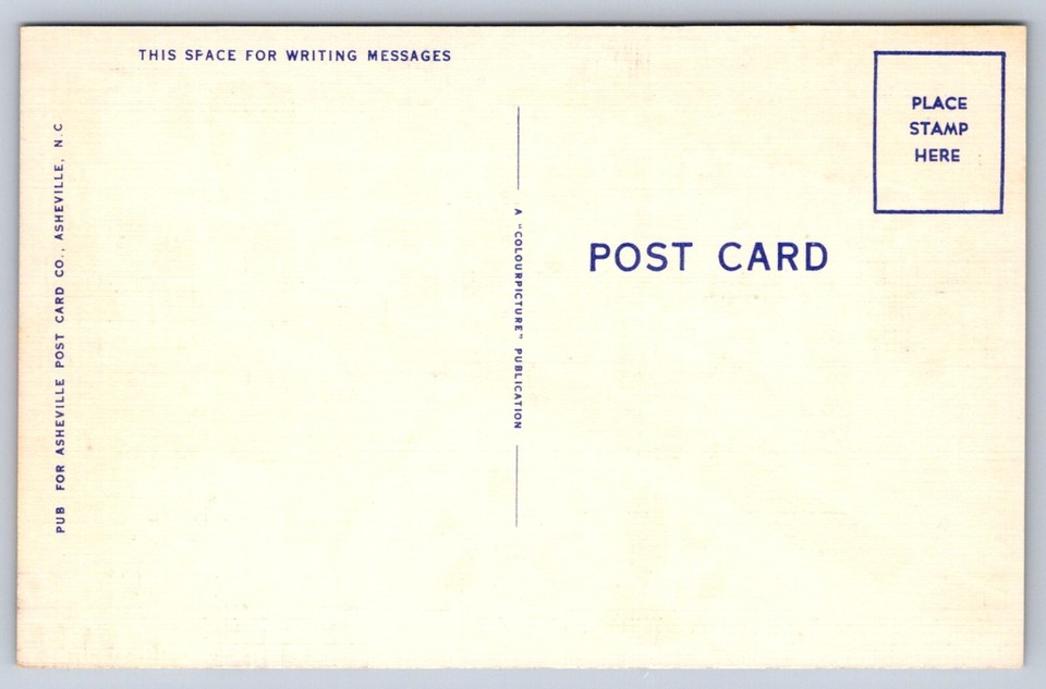 Postcard MS Large Letter Greetings From Mississippi State Flower ...