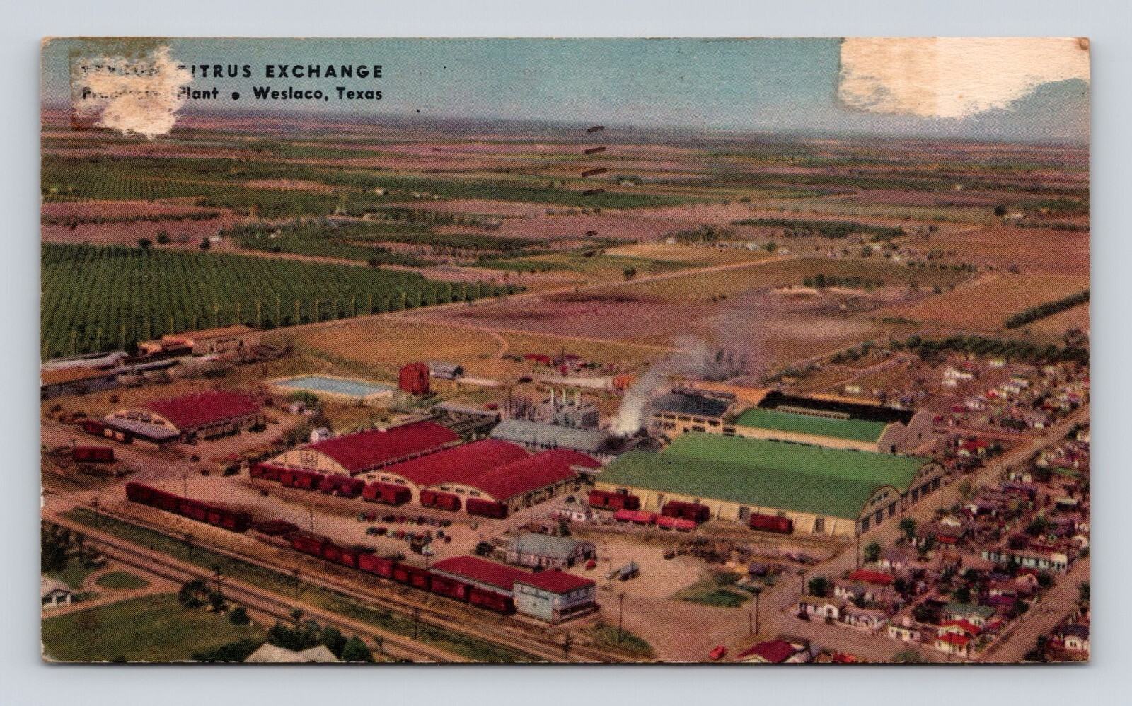 Postcard TexSun Citrus Plant Factory Grapefruit Weslaco TX Cancel 1952 ...