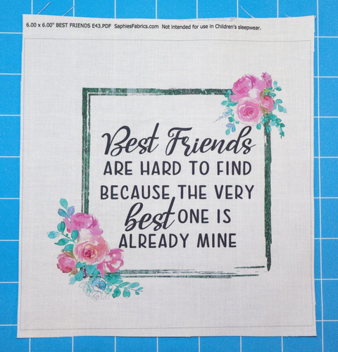 Best Friends 100% Cotton Fabric Panel Square Quilting Block E43 | eBay