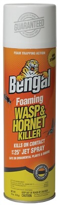 Bengal Foaming Wasp & Hornet Killer - 16oz - Jet Spray | eBay