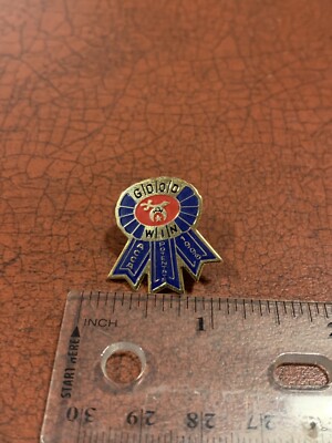 Shriners Masonic Good Win ACCA Potentate 1998 Masonic Lapel Pin FREE ...