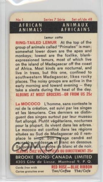 1964 Brooke Bond Red Rose African Animals Tea Ring-Tailed Lemur #1 y0i ...