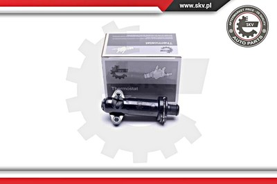 Engine Thermostat For BMW E81 E87 X3 E83 X5 E53 E70 X6 E71 E72 01-13 ...