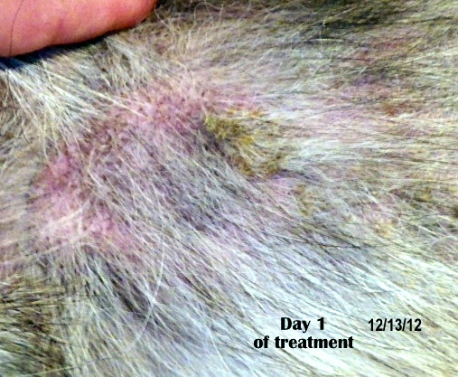 Ranch Farm Barn Yard Skin Care Treatment Cow Pig Goat Rabbit. Insect ...