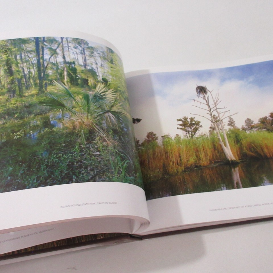 Mobile Alabama History People Nature Why We Are Here Spirit Southern ...