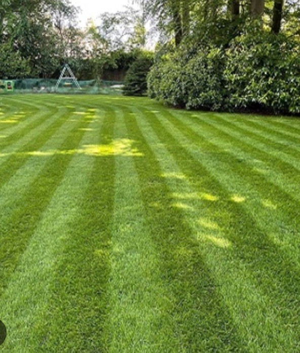 Super Fast Growing Grass Seed | Quick Rapid Lawn Repair & Growth 1kg ...