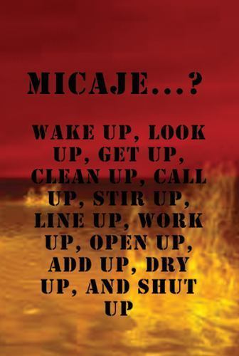 Micaje... ? by Timothy Wittig (2013, Trade Paperback) for sale online ...