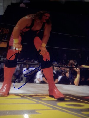Sting Signed Wcw Nwo Red Wolfpac In Ring Photo 8x10 | eBay