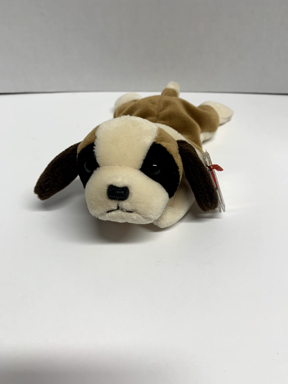 Ty Baby Bernie 1996 Beanie Baby NWT & Double Tag Protector Mint | eBay