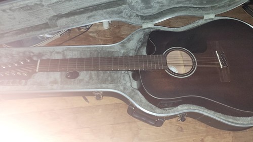 Mitchell 12 string Electric- Acoustic guitar COMES WITH CASE!! | eBay