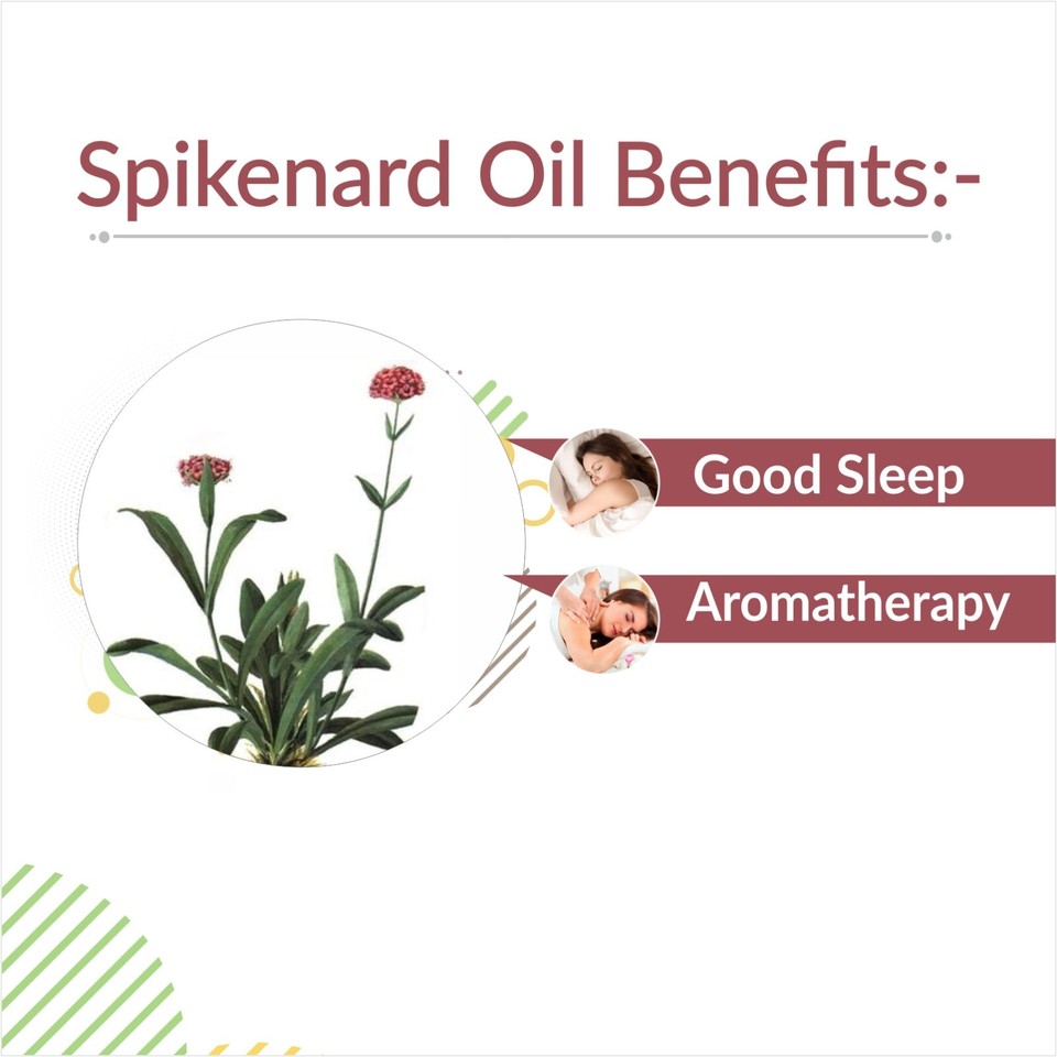 Spikenard Marigold (Nardostachys) 100% Pure & Natural Essential Oil ...