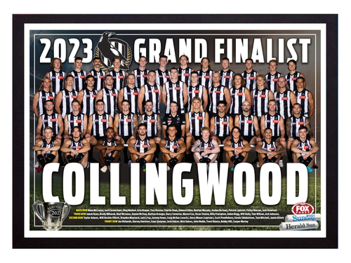 Framed 2023 Collingwood Magpies AFL Premiers Poster - 84cm x 59.5cm x ...