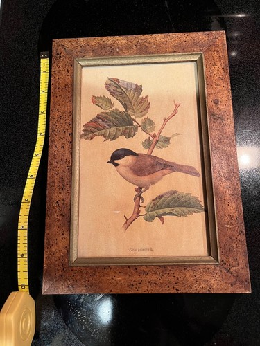 H. Hal Chicago Framed Bird Prints Antiqued Collection Set Of 2 | eBay