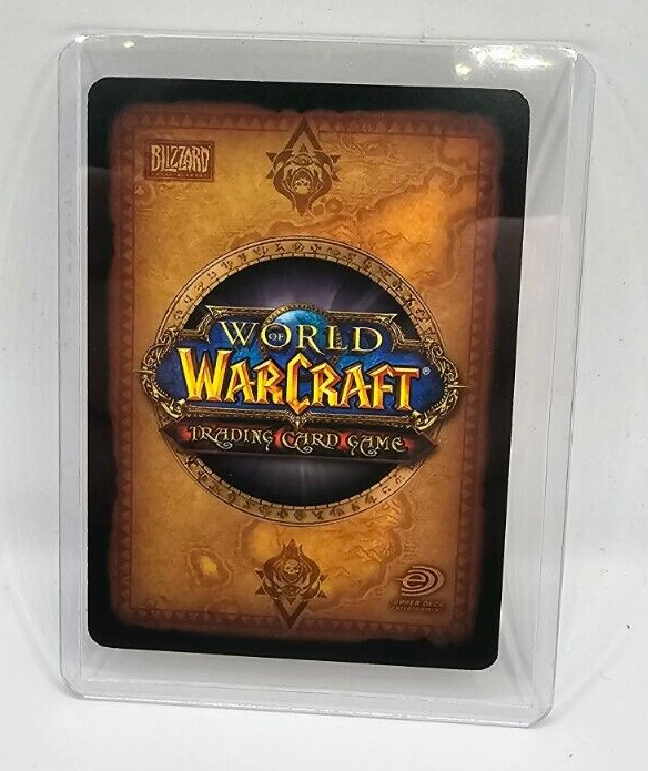 Fianna Spellbinder Epic Heroes of Azeroth World of Warcraft WoW TCG | eBay