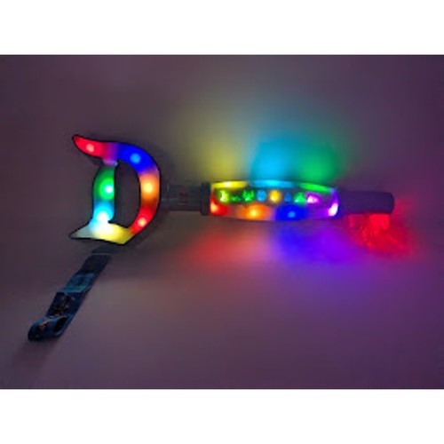 Disneyland 70th Anniversary Interactive Key To Disneyland KEY ONLY - NO ...