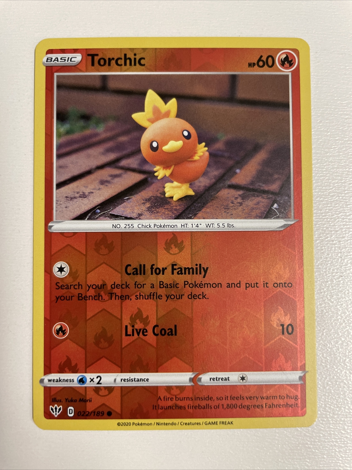 Torchic 022/189 NM Reverse Holo Darkness Ablaze Near Mint Foil Pokemon ...