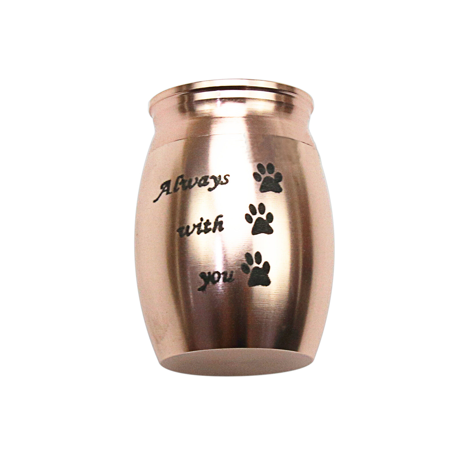 NEW Pet Mini Urn Miniature Funeral Cremation Urn Pet Ashes Holder Big 5 ...