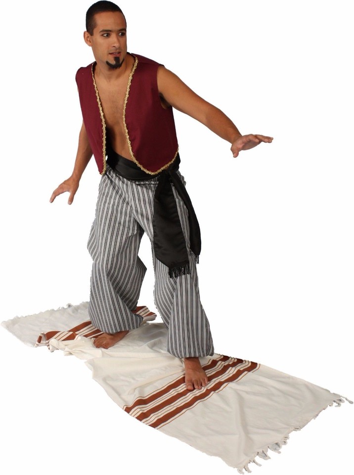 SINBAD ALADDIN GENIE SHEIK SULTAN DESERT PRINCE ARABIAN ADULT COSTUME ...