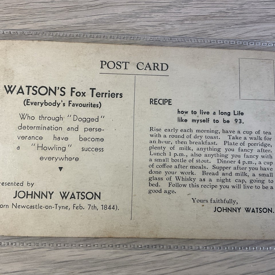 Johnny Watson's Fox Terriers Vintage Carnival Theatre Dog Act Early Postcard. | eBay UK