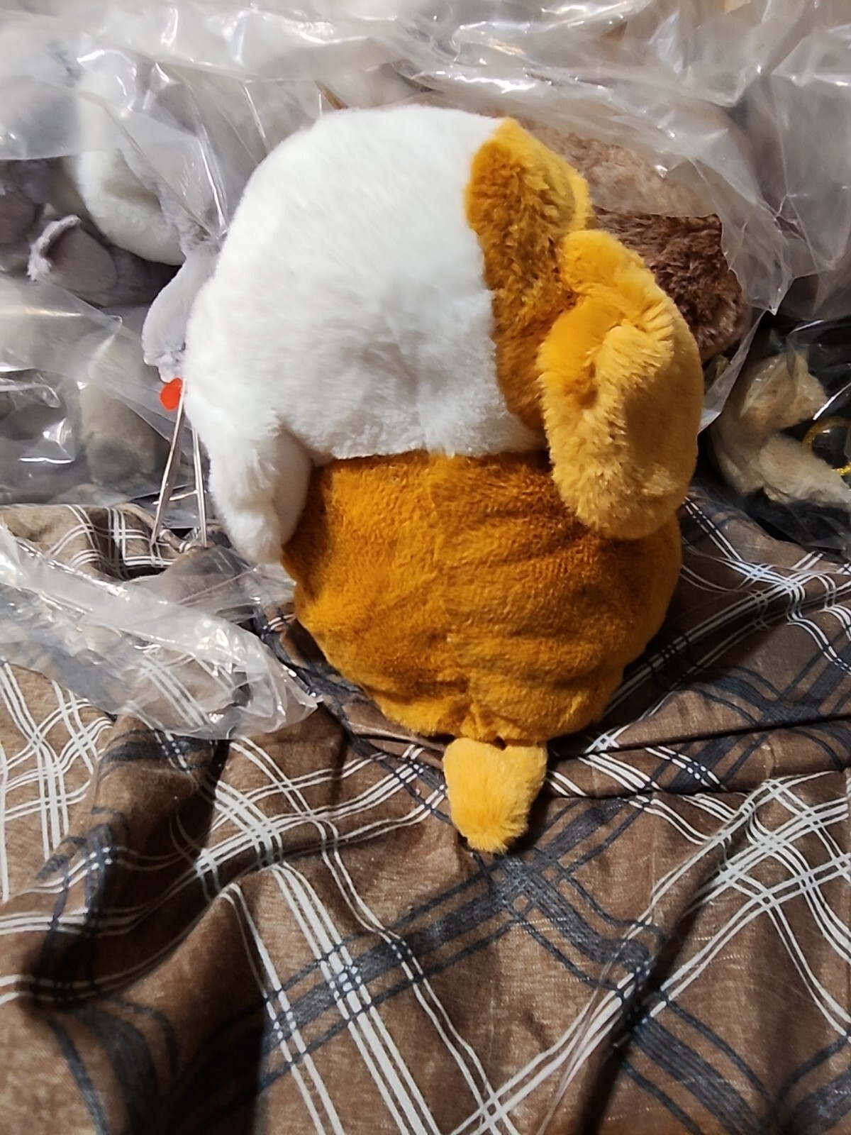 Ty Beanie Baby Boos Bellies - RUGGLES the Dog (6 Inch) NEW - MINT with ...