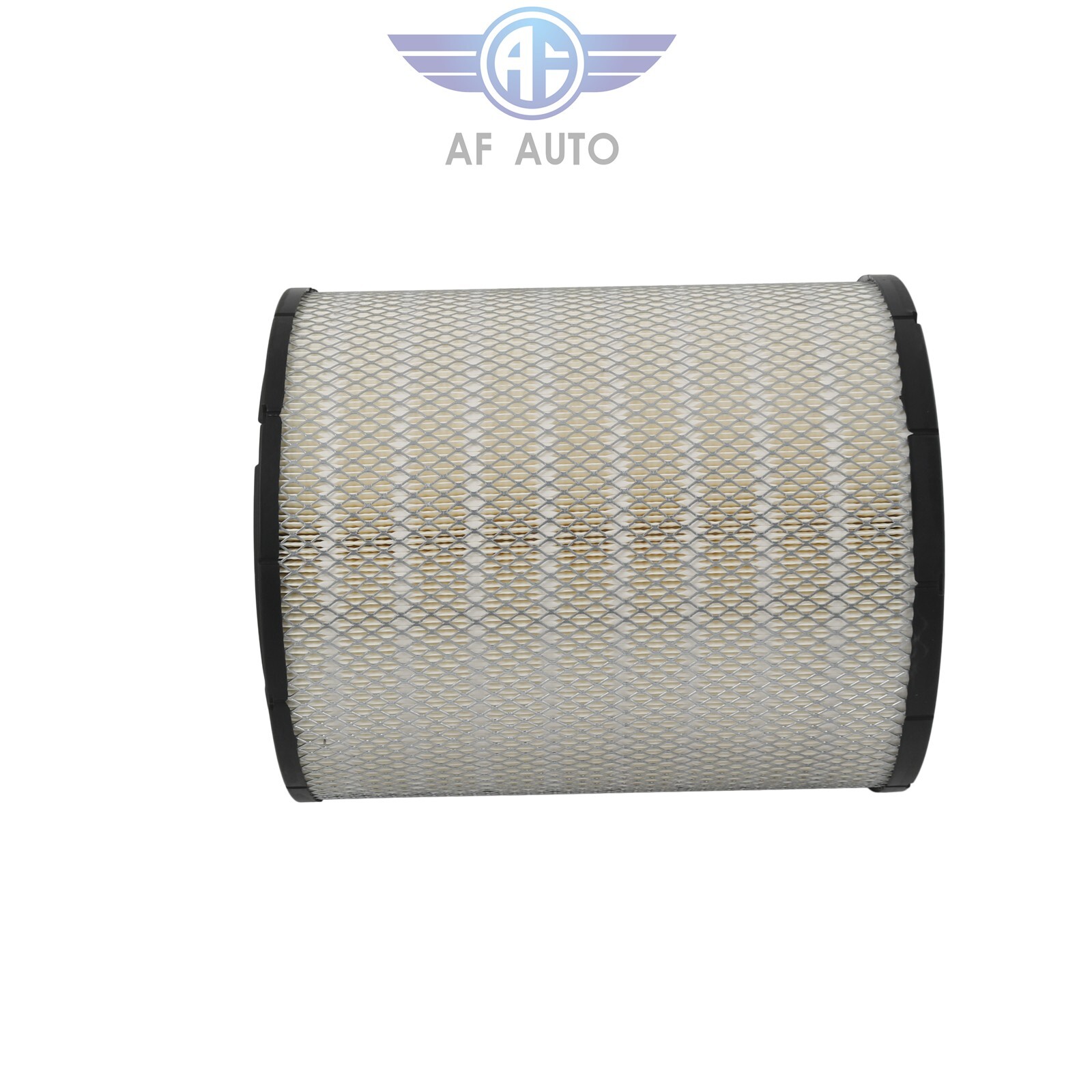 2X Air Filter RS3518 For Freightliner Century Columbia Coronado ...