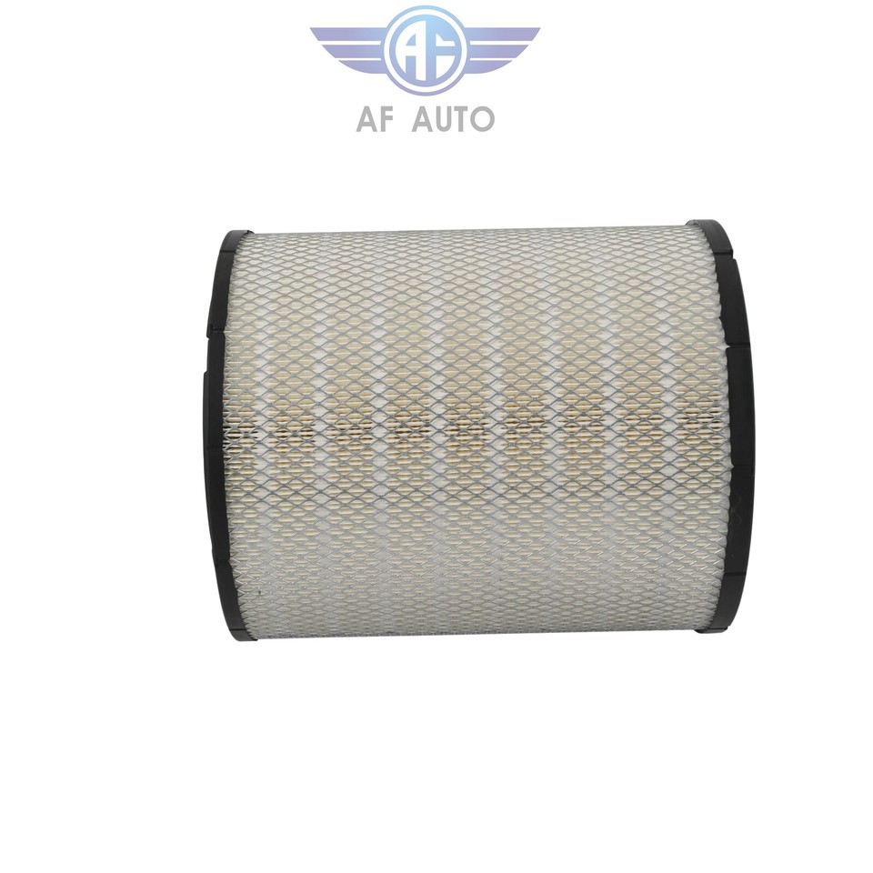 2X Air Filter RS3518 For Freightliner Century Columbia Coronado ...