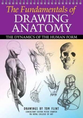 The Fundamentals of Drawing Anatomy Tom Flint, Peter Stanyer - VERY ...