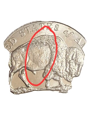 2005-D 5c " SPEARED BISON " Nickel | eBay