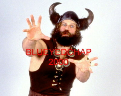 BERZERKER WRESTLER 8 X 10 WRESTLING PHOTO WWF | eBay