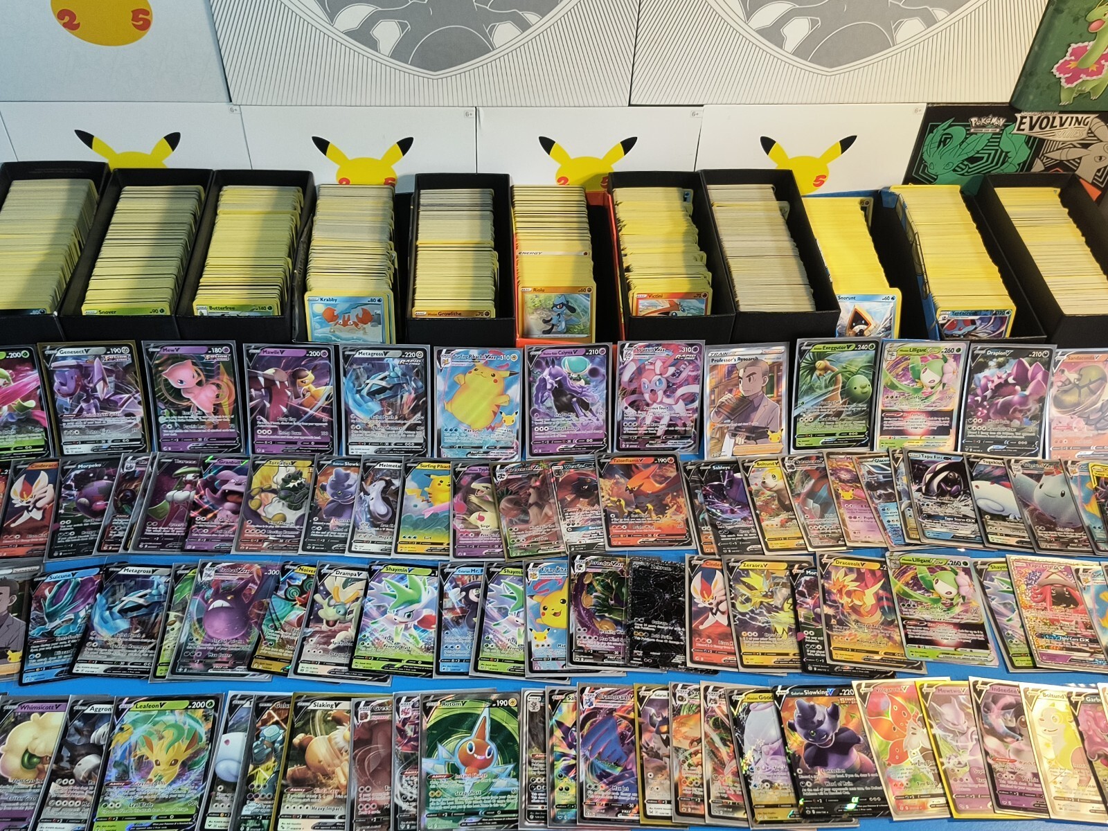 Biggest Pokemon Card Collection